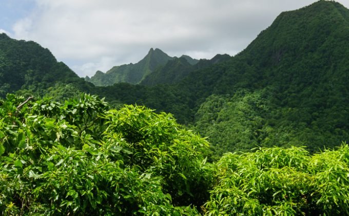 Rarotonga Island In 15 Photos | Outsidevibes