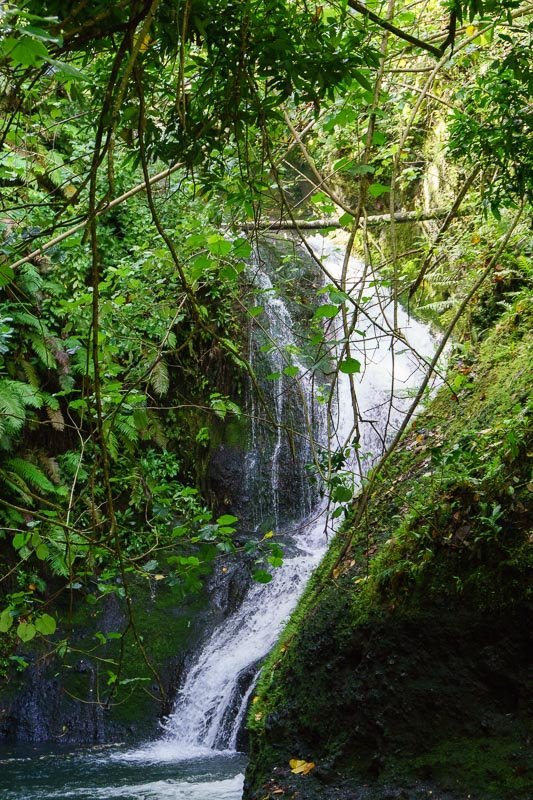 Rarotonga Island In 15 Photos | Outsidevibes
