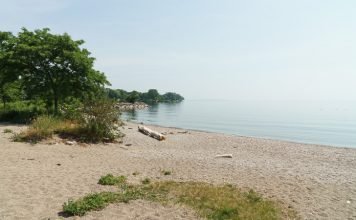 Escape The City - Colonel Samuel Smith Park | Outsidevibes